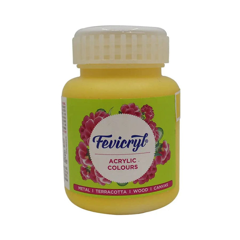 Pidilite Fevicryl Acrylic Colours 100ml